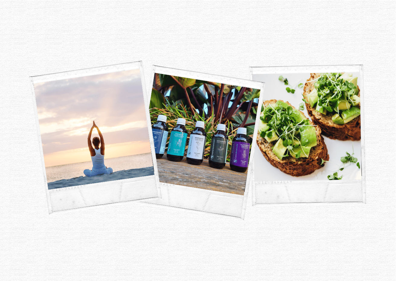 New Year, New Wellness Goals: Boosting Your Immune System with Herbal ...